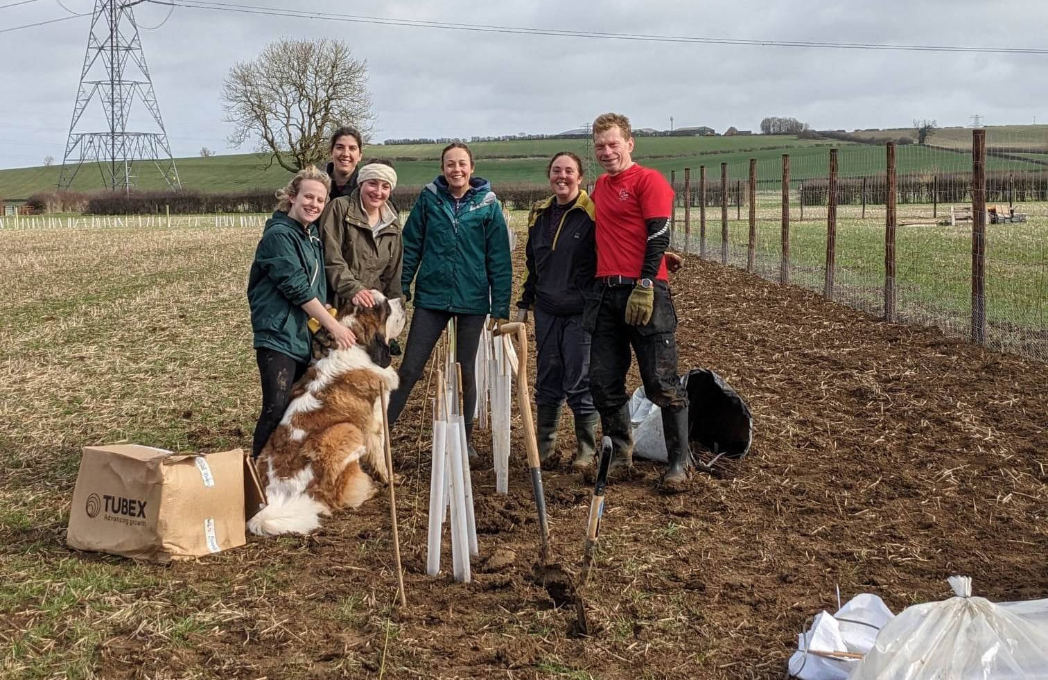 Ash Tree Vets | Expert Pet Care in the East Midlands