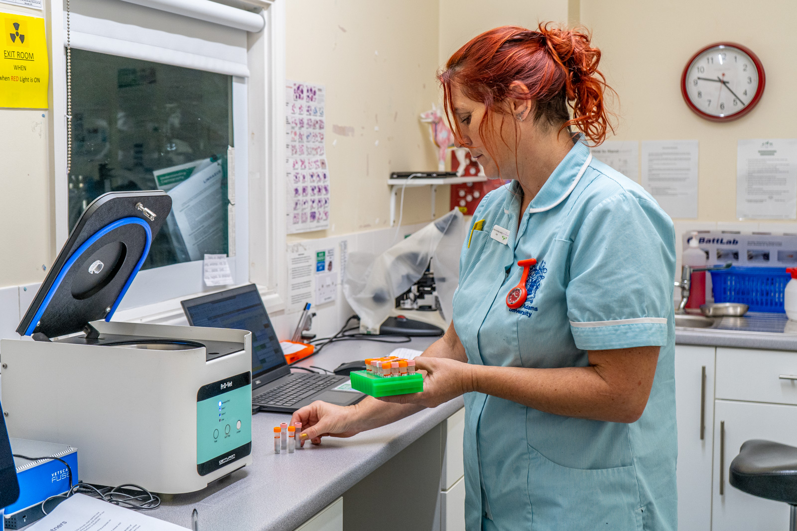 Ash Tree Vets | Expert Pet Care in the East Midlands