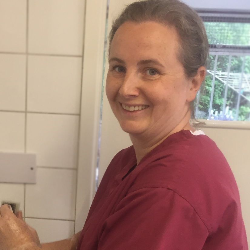 Meet The Team | Ash Tree Vets