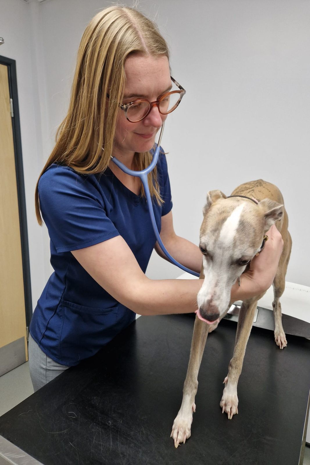 Who We Are | Ash Tree Vets